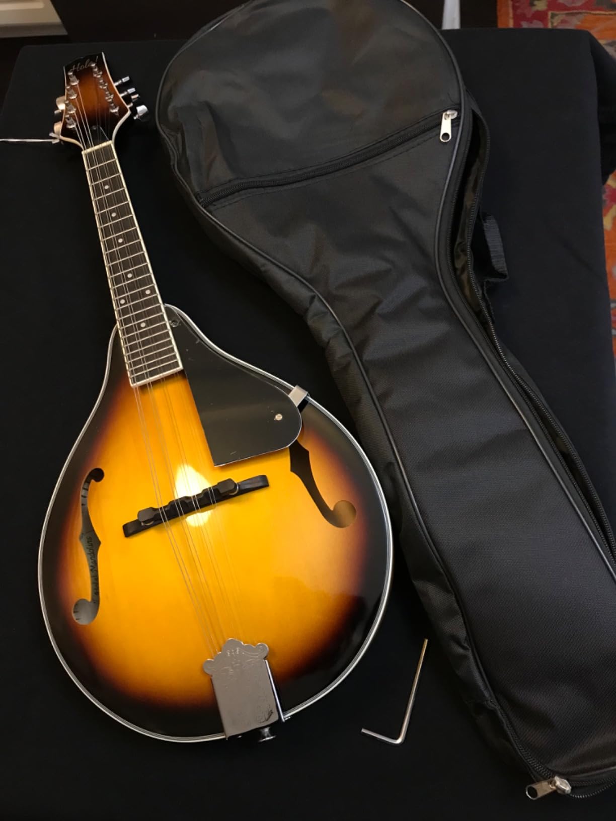 12 Best Mandolins (June 2026) Top Reviews