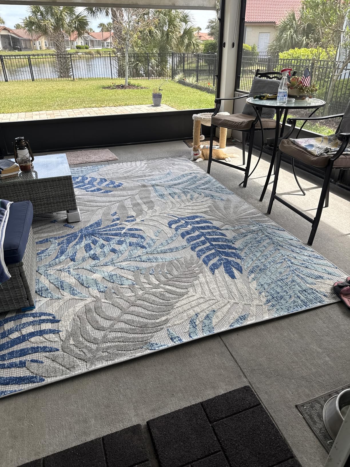 10 Best Outdoor Rugs (May 2026) Tested & Reviewed