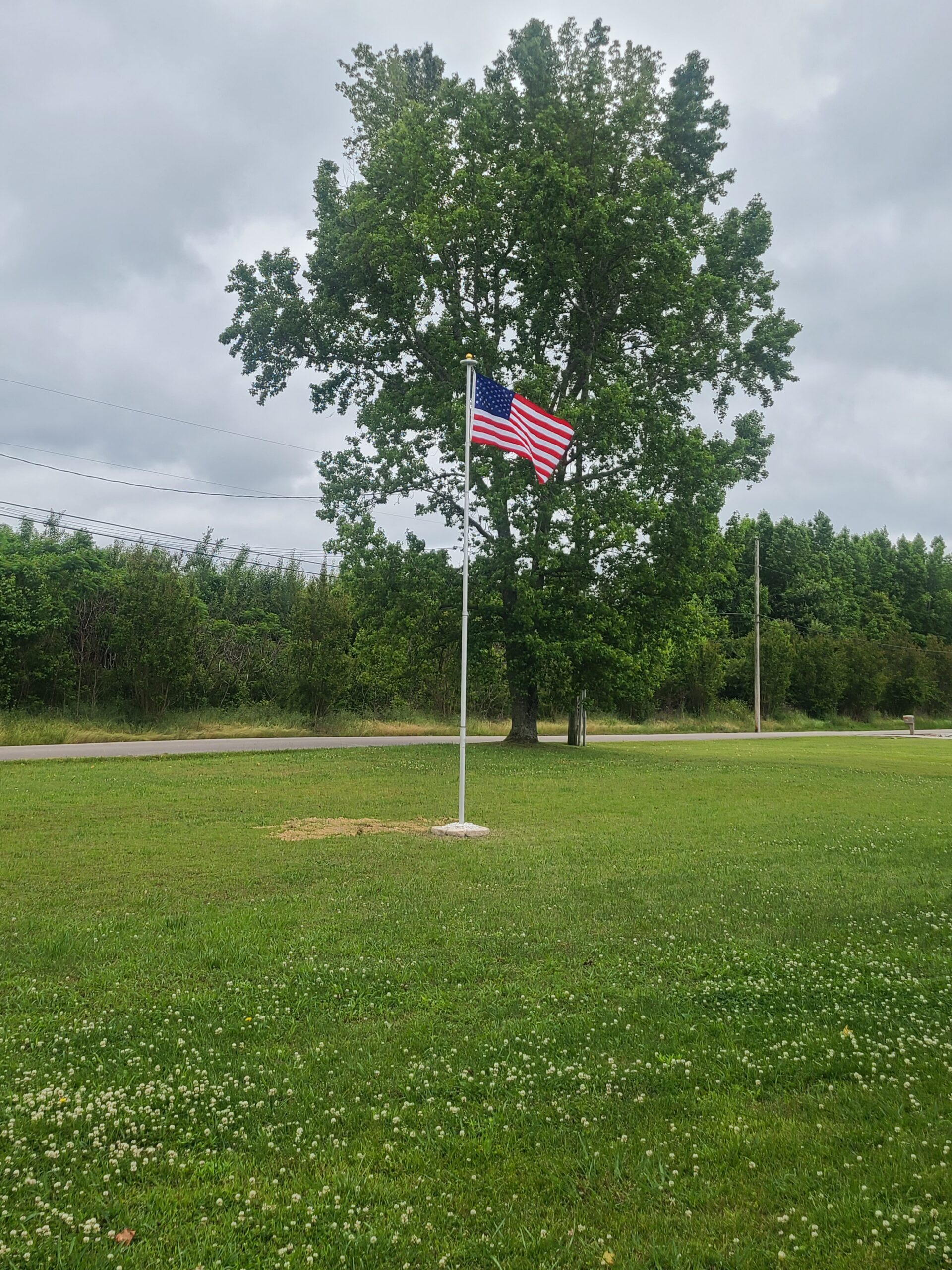 10 Best Telescoping Flagpoles (June 2026) Buying Guide
